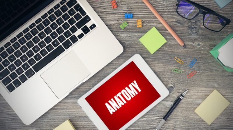 12 Free Ipad Apps For Learning The Human Anatomy Elearning Industry