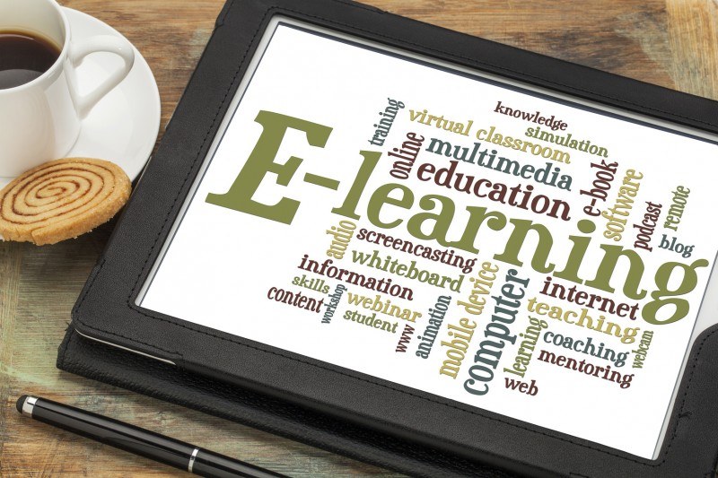 Top 5 Reasons To Have A Customizable eLearning System - eLearning Industry
