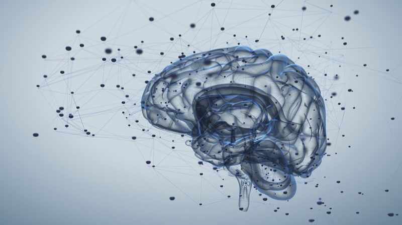 Information Processing Basics: How The Brain Processes Information ...