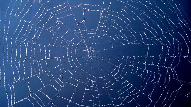 6 Tips To Use Video To Make The Complex Simple - eLearning Industry