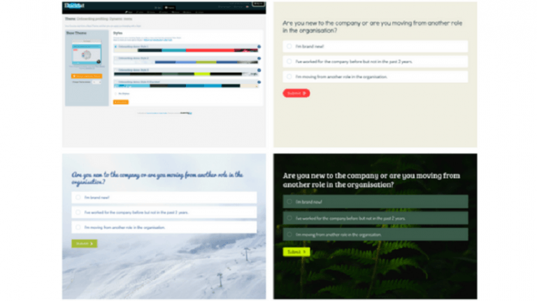 How To Quickly Customize eLearning Content With Elucidat’s Styles ...