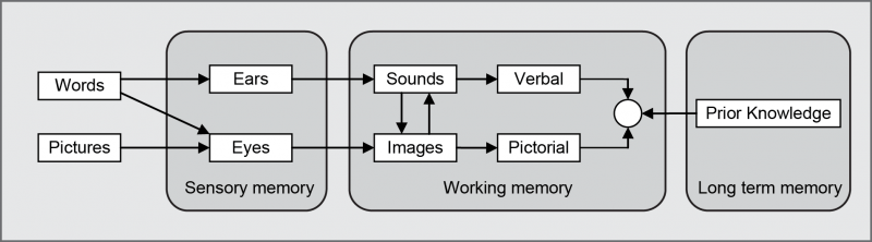 The Magical Number Seven: How Memory Affects Information