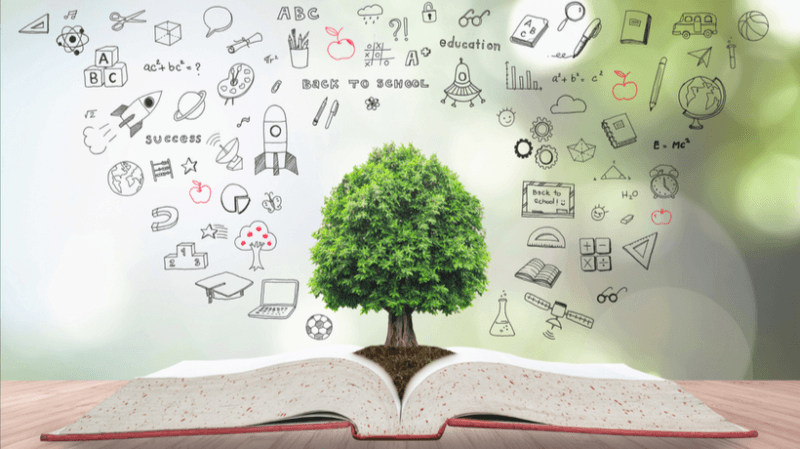 Learning Ecosystem: Past, Present, And Future - eLearning Industry