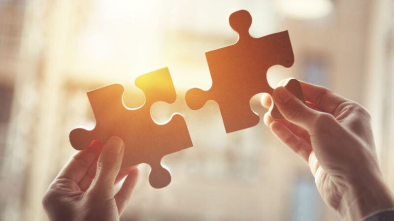 Choose The Best Skill Development Solution For Your Team