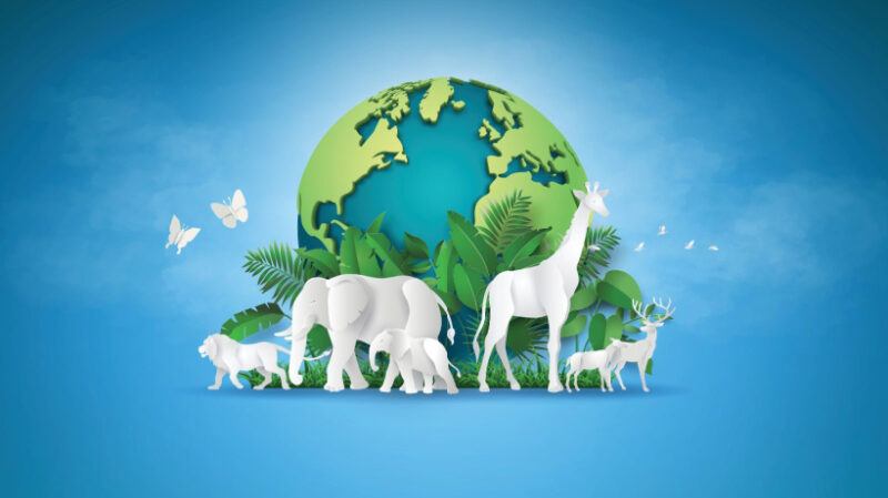 World Animal Day: 4 Ways Companies Can Honor Animals - eLearning Industry